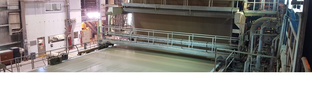 ST Paper & ST Tissue – Proud providers of green seal verified parent rolls